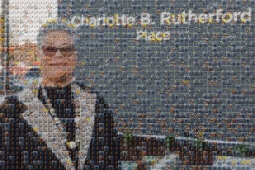 CHARLOTTE RUTHERFORD - Mosaically